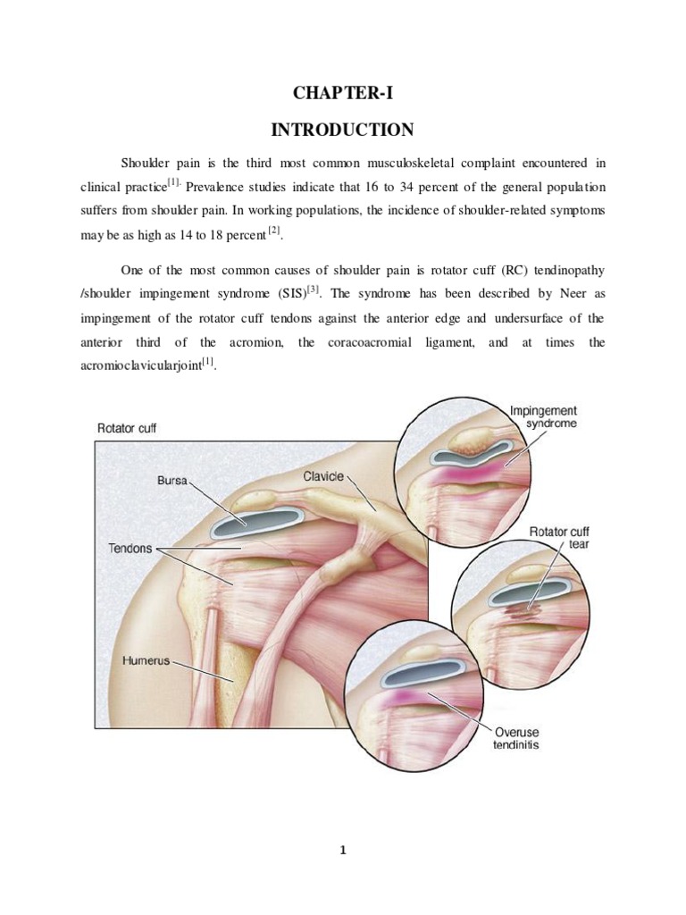 RCT Thesis | PDF | Tendon | Shoulder