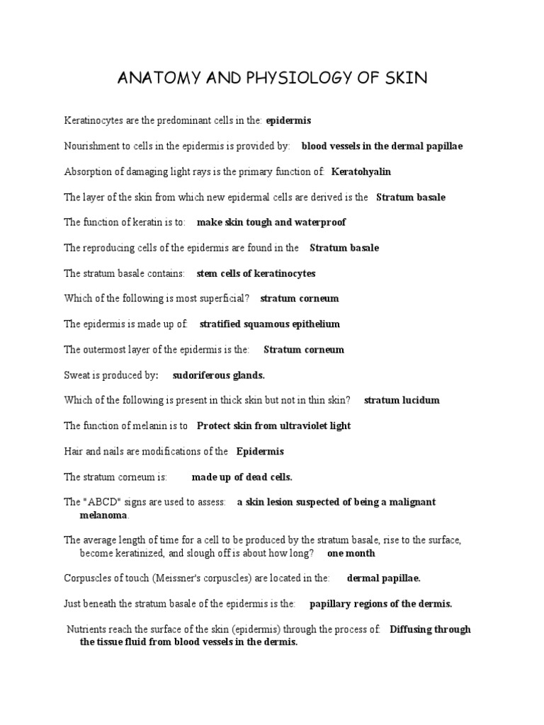 Anatomy and Physiology of Skin | PDF