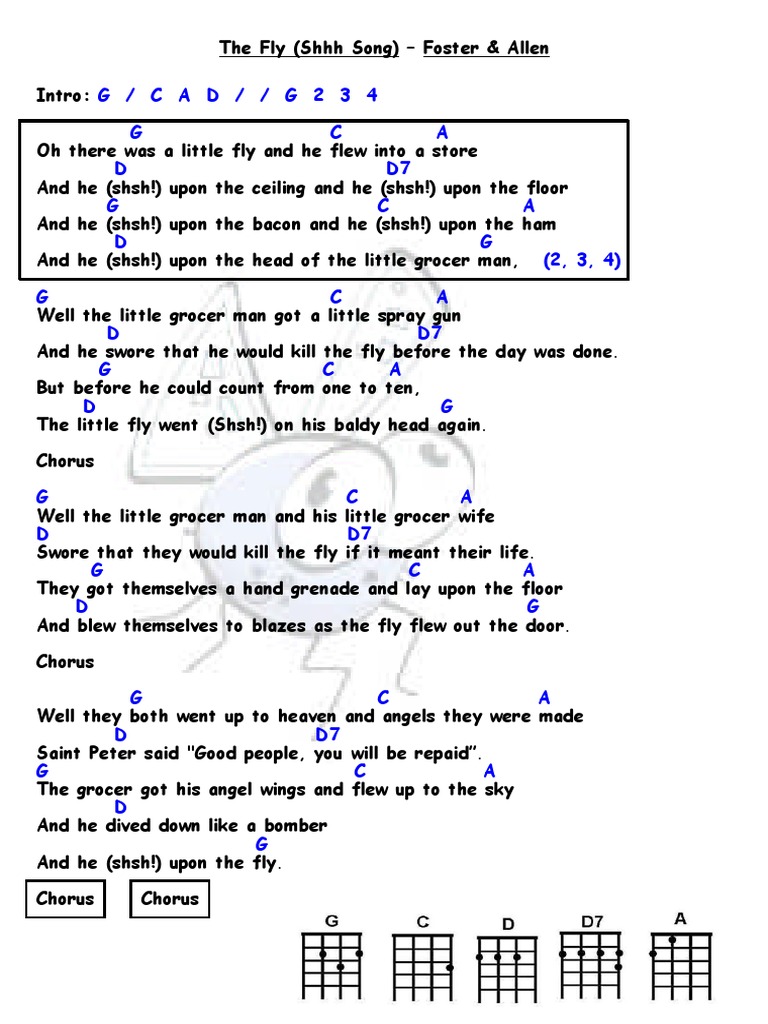 The Fly Shhh Song Foster Allen | PDF