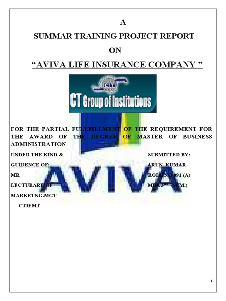 Project Report of ARYAN | PDF | Audit | Financial Statement