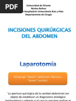 Incisión Rocky Davis | PDF | Medicina CLINICA | Anatomía
