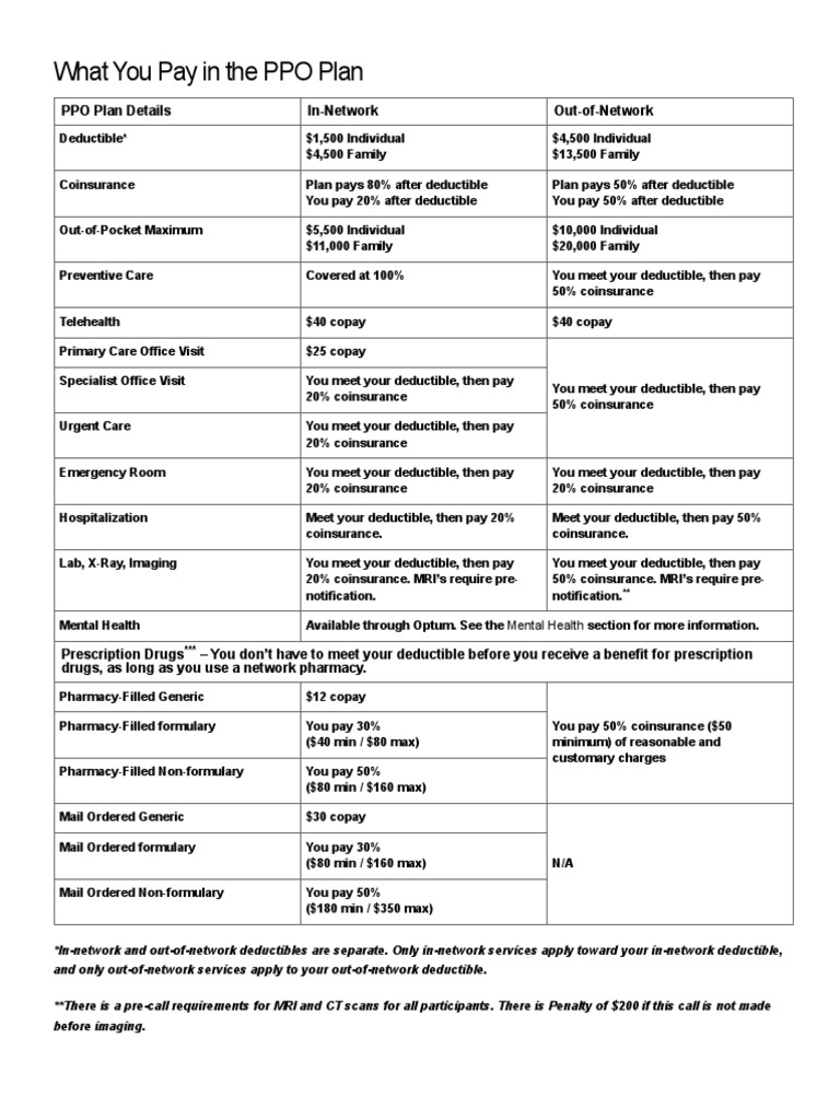 What You Pay in The PPO Plan | PDF | Generic Drug | Medical Prescription
