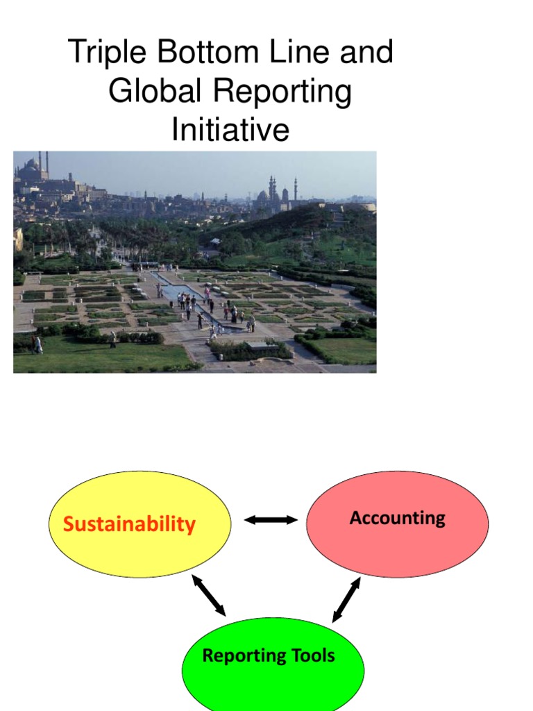 Providing Guidance on Sustainability Reporting: An Overview of the ...