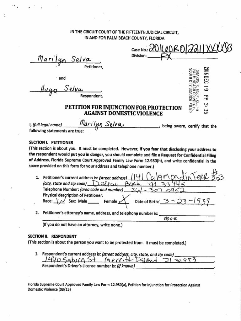 Petition For Injunction For Protection Against Domestic Violence | PDF