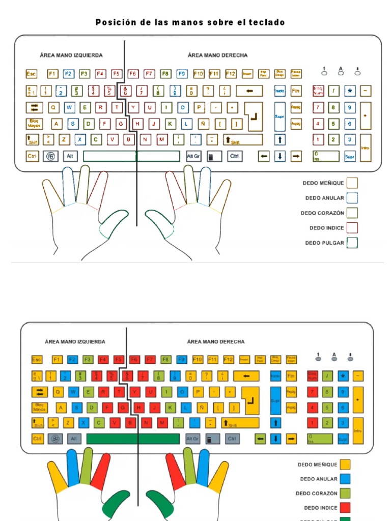 Dedos en El Teclado | PDF