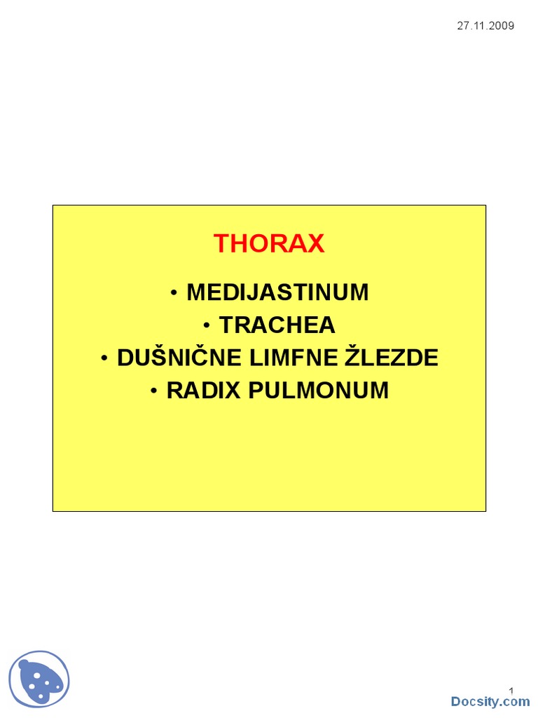 Mediastinum Trachea Radix Pulmonis Slajdovi Anatomija Medicina | PDF