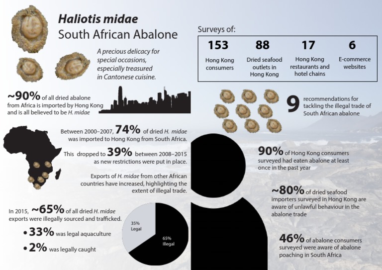 Abalone Report Infographic | Download Free PDF | Food And Drink | Cuisine