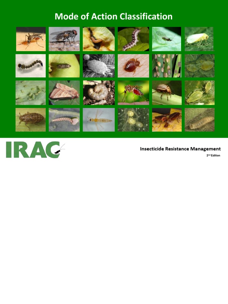 Irac Moa Brochure v4 2 Oct10 | PDF | Acetylcholine | Insecticide