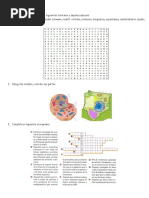 Sopa de Letras Biología | PDF