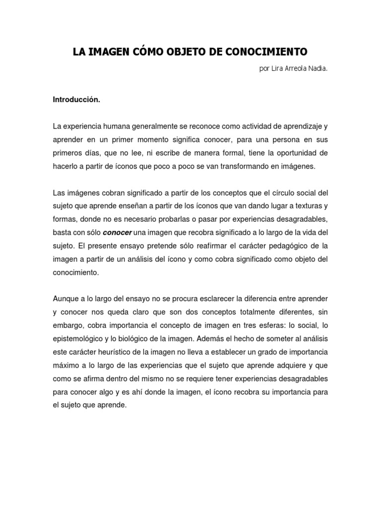 Ensayo Sobre La Imagen | PDF | Imagen | Conocimiento
