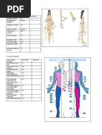PALESTESIA Definicion y Exploración | PDF | Mano | Sistema ...