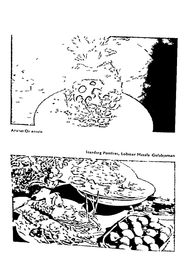 Modern Cookery-Vol 2 | PDF