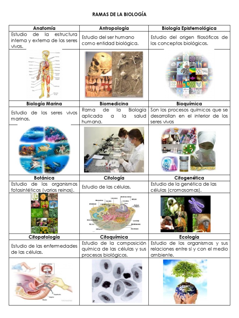 Ramas de La Biología | PDF | Organismos | Biología