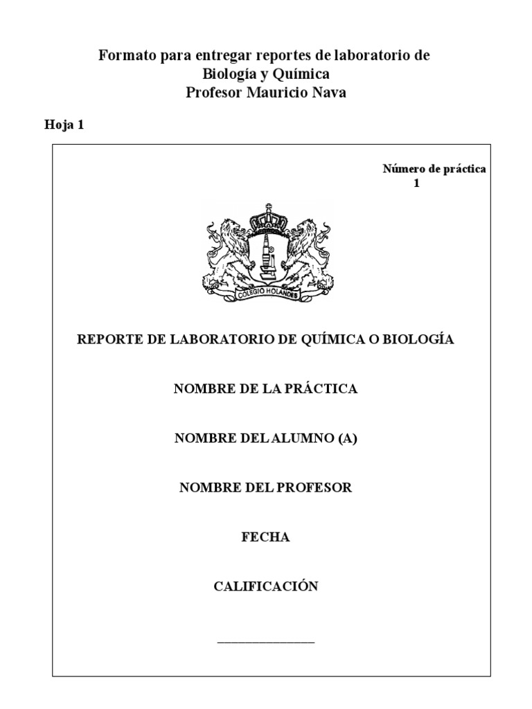 Formato Reportes De Laboratorio Doc