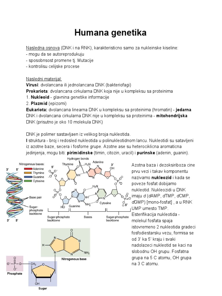 Humana Genetika | PDF
