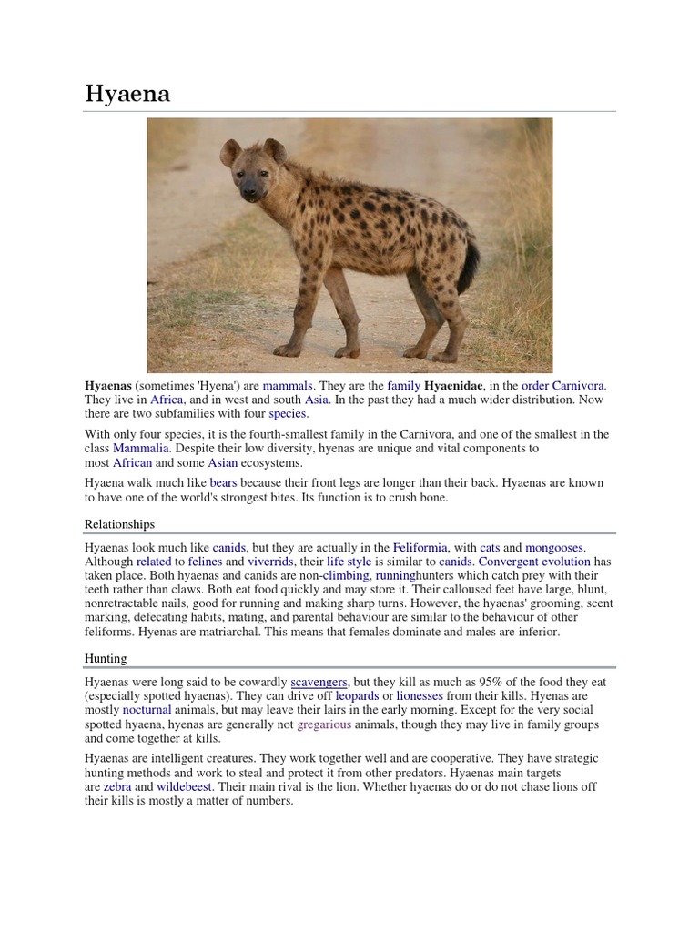 Hyaena: Hyaenas (Sometimes 'Hyena') Are | PDF