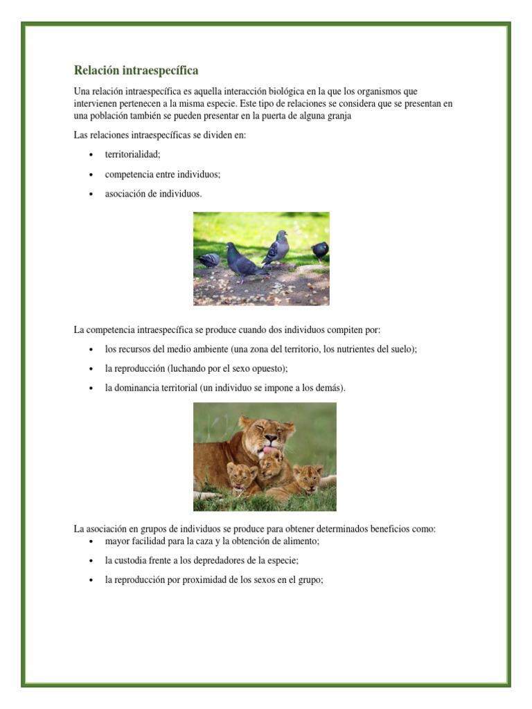 Relación Intraespecífica | PDF | Extinción | Biodiversidad