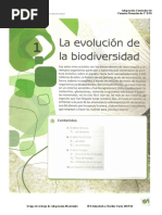 Recortable de La Flor | PDF