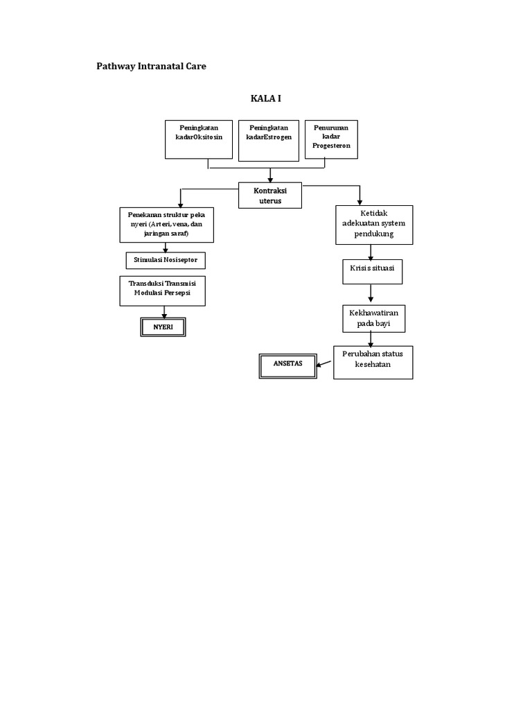 Pathway Intranatal Care | PDF