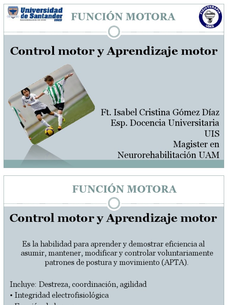 Función Motora | PDF | Cerebelo | Cerebro
