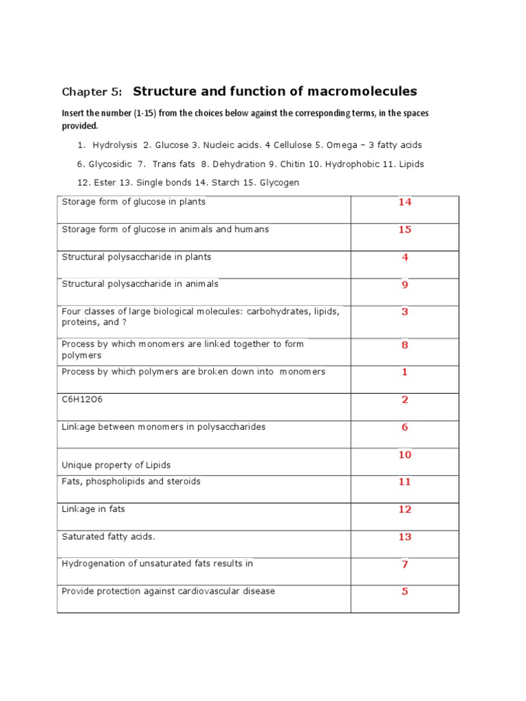 Answer Key Structure and Function of Macromolecules | PDF | Lipid ...