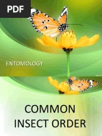 GENERAL ENTOMOLOGY Module PDF | PDF | Insects | Arthropods