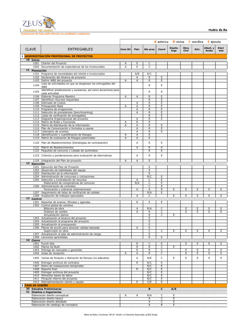 Matriz de Roles y Funciones | PDF | Sectores Economicos | Ingeniería