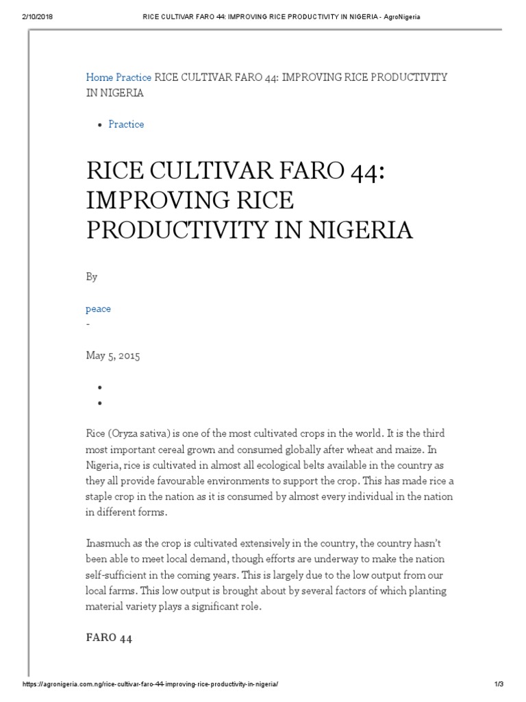 Rice Cultivar Faro 44 | PDF | Rice | Land Management