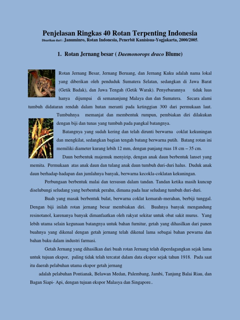 40 Jenis Rotan Terpenting | PDF | Griya & Taman | Sains & Matematika