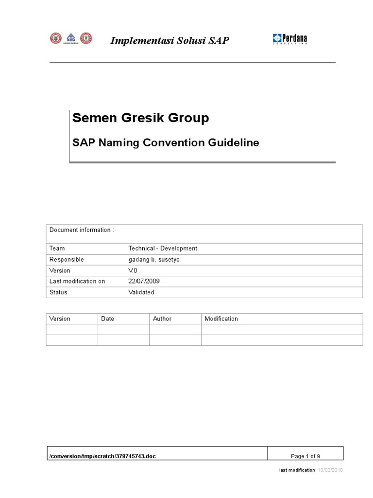 SAP Naming Convention Guide | PDF | Identifier | Interface (Computing)