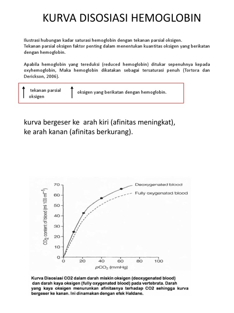 Kurva Disosiasi Hemoglobin | PDF