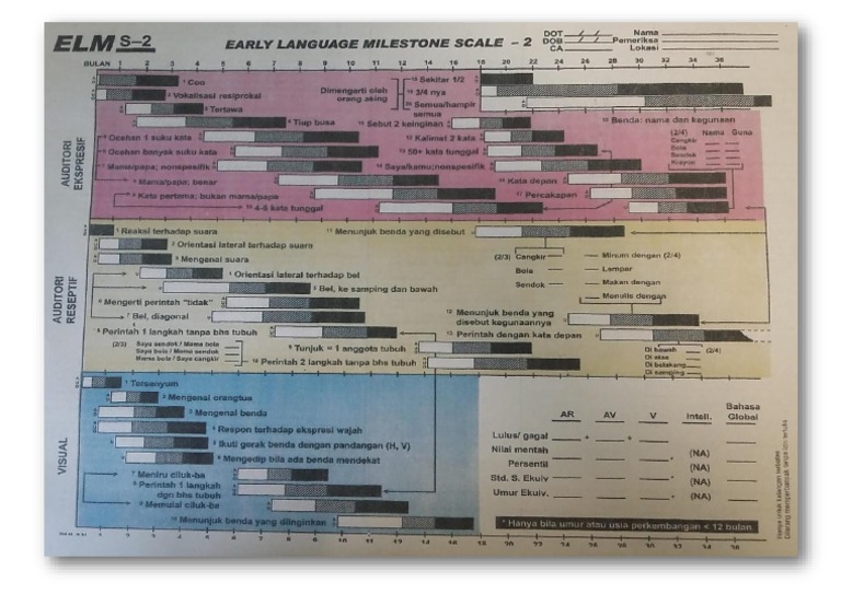 Early Language Milestone Scale 2