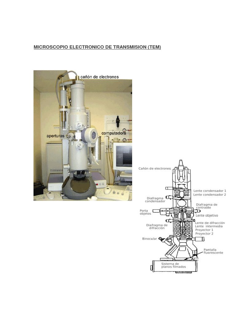 Microscopio Electronico de Transmision | PDF | Microscopio de transmisión por electrones | Electrón
