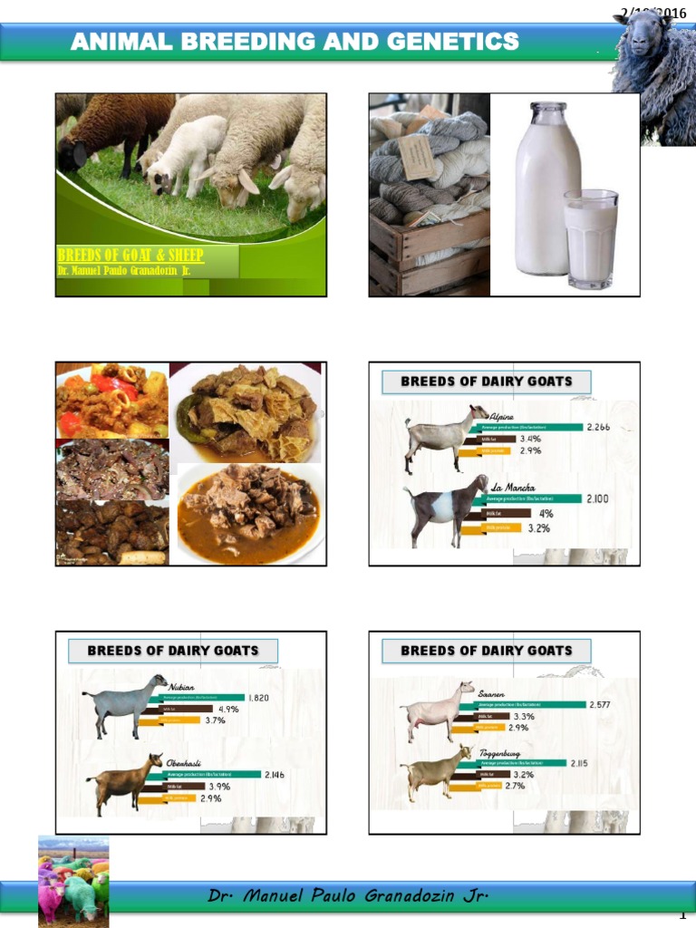 Lesson 8 Breed of Goat and Sheep | PDF | Sheep | Goat