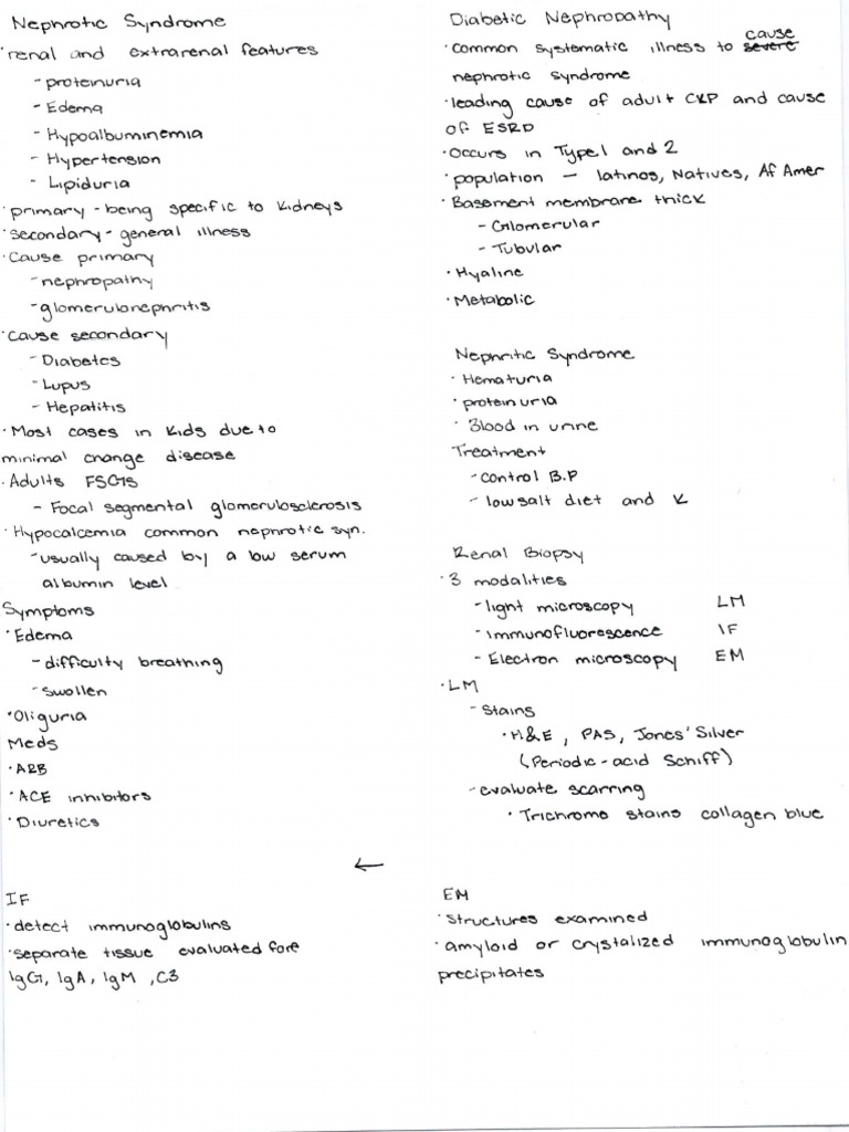 Bloom Notes | PDF