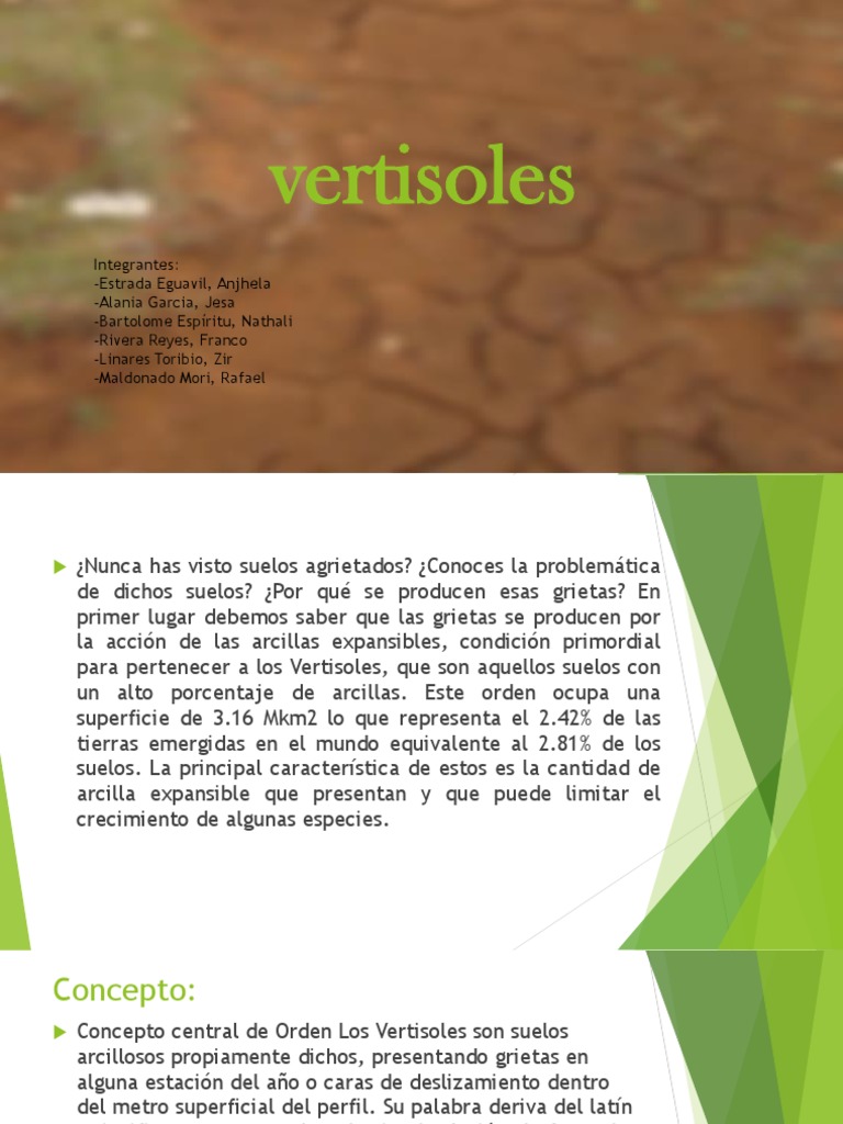 Clasificacion Vertisoles | PDF | Arcilla | Suelo