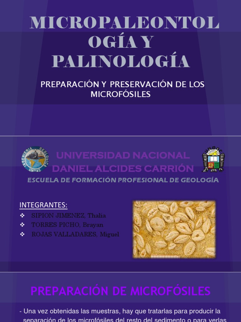 Preparación y preservación de microfósiles | PDF | Fósil | Roca (geología)