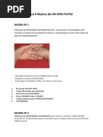 JIN SHIN JYUTSU Apertura 26 Cierres de Seguridad | PDF | Violencia | Agitación