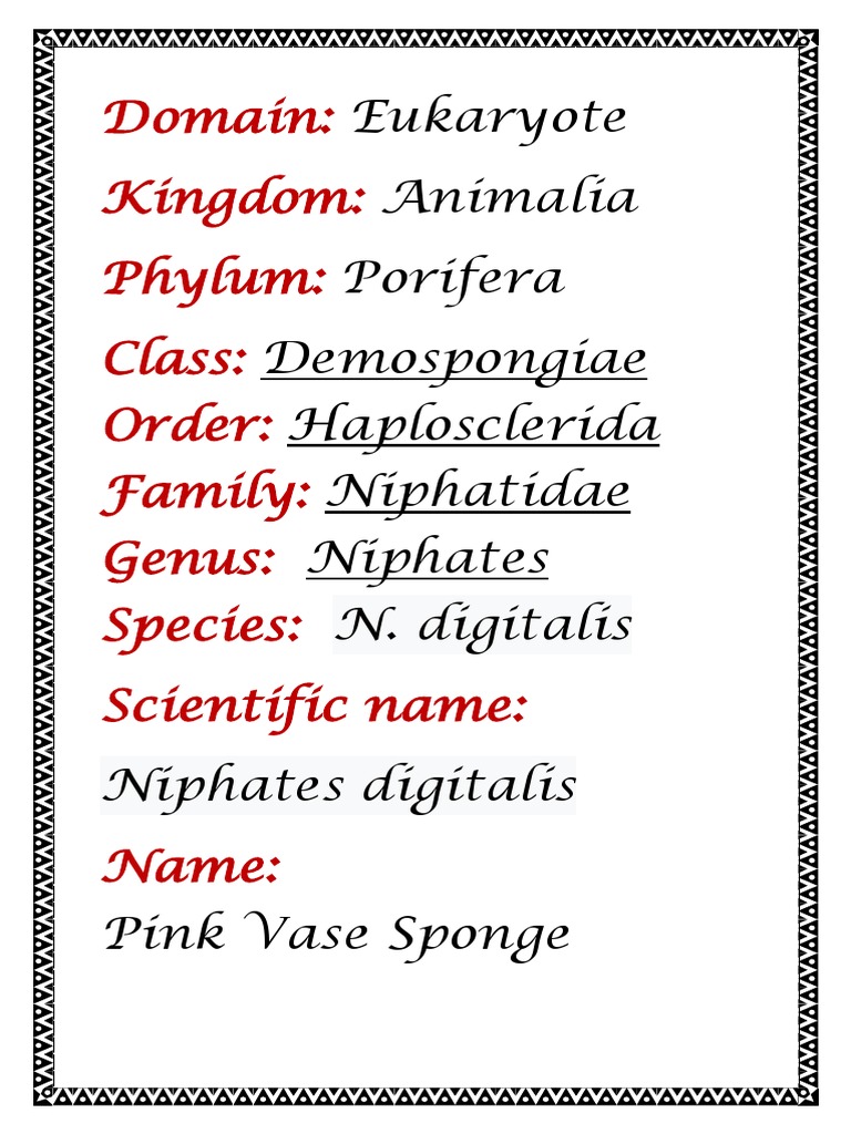Domain: Kingdom: Phylum: Class: Order: Family: Genus: Species ...