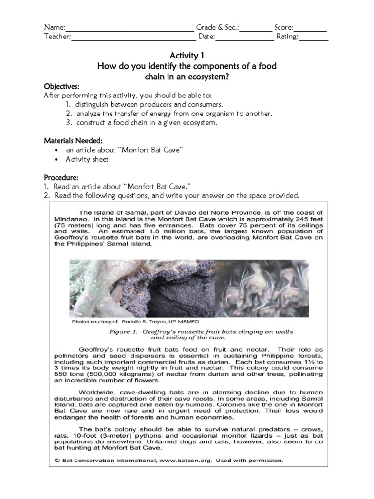 m2 Unit 4 G8 | PDF | Biomass (Ecology) | Food Web