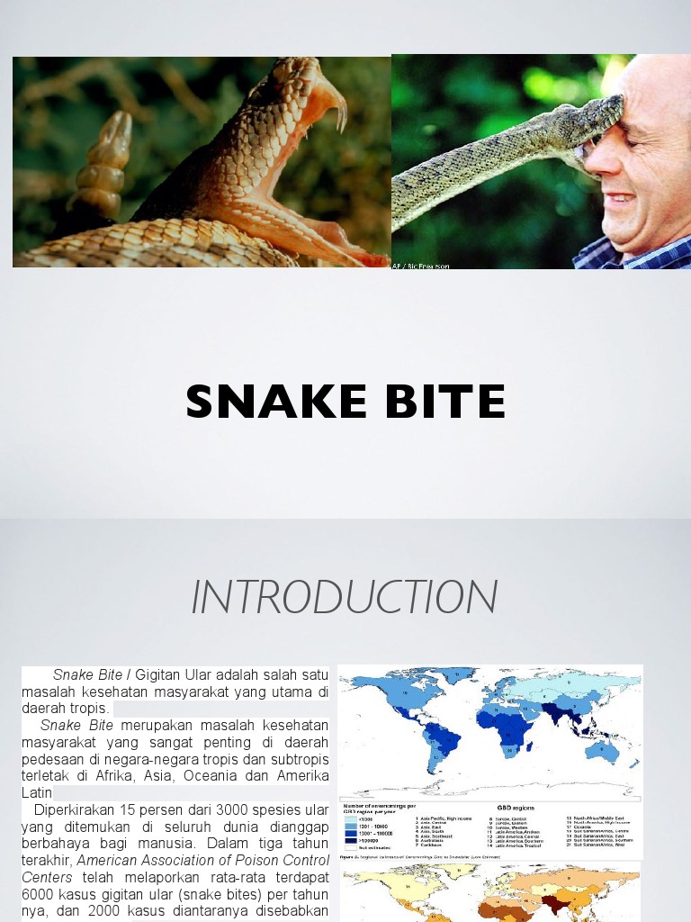 Snake Bite PDF 1-1 | PDF