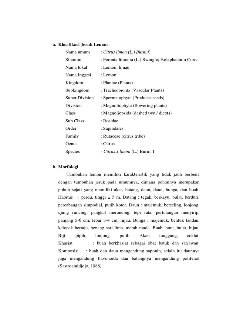 Klasifikasi Jeruk Lemon | PDF
