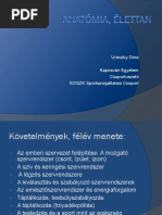 Az Emberi Test Felépítése Anatómia Ápolás | PDF