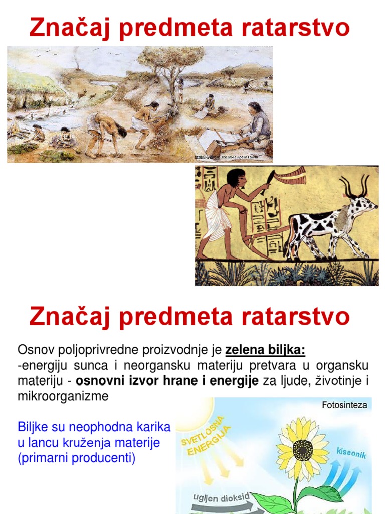 Ratarstvo Uvod | PDF