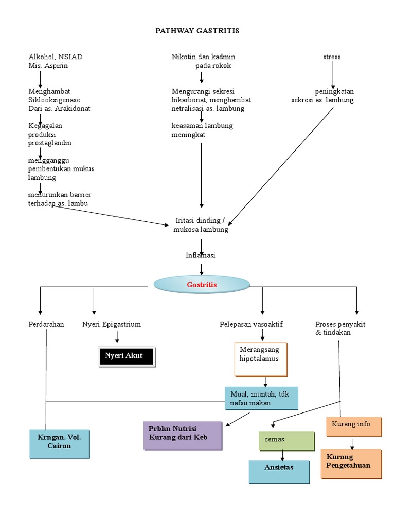 Woc Gastritis Akut | PDF
