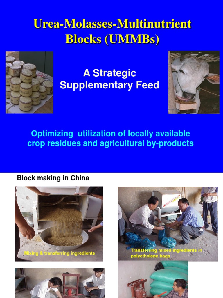 Urea-Molasses-Multinutrient Blocks (Ummbs) : A Strategic Supplementary ...