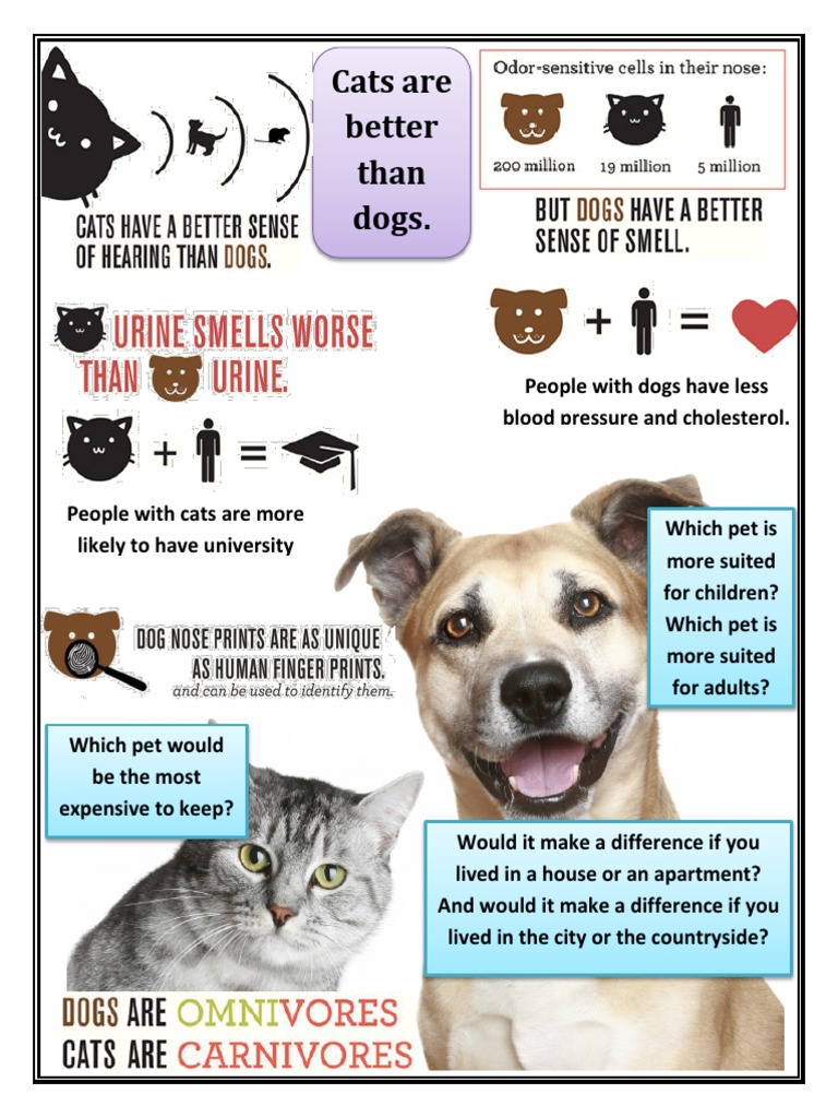 Debate: Cats Vs Dogs | PDF