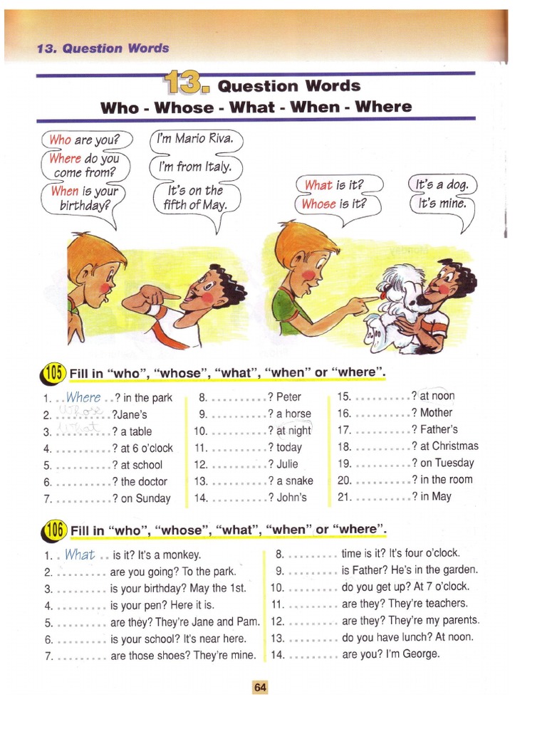 Question Words | PDF