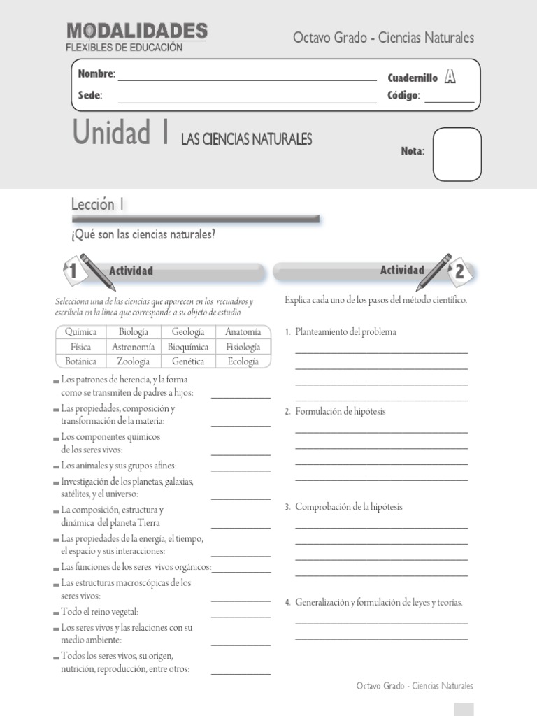 Cuadernillo de Ciencias Naturales 8° grado | PDF | Pulmón | Plantas