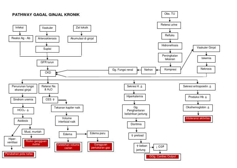 Pathway Gagal Ginjal Kronik: Intoleransi Aktivitas | PDF